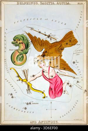 Astronomical chart illustration of Delphinus, Sagitta, Aquila, and the ...
