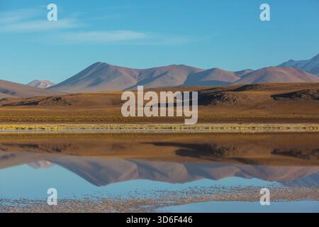 Fantastic Scenic landscapes of Northern Chile, Atacama desert ...