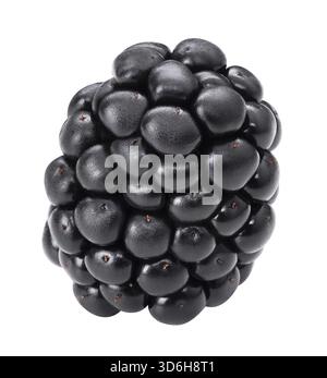 Mulberry isolate on white background. Selective focus. Food Stock Photo ...