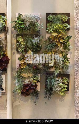 Green wall, eco friendly vertical garden on building Stock Photo - Alamy