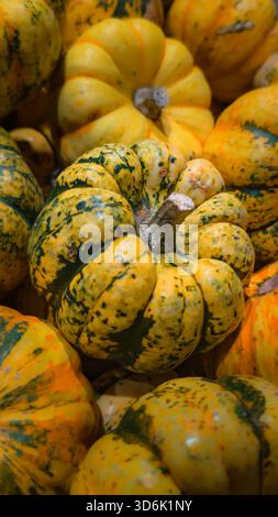 natural organic pumpkins on a rustic table Stock Photo - Alamy
