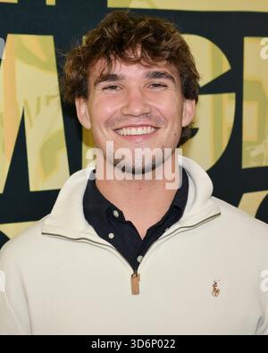 November 20, 2025, Westwood, California, USA: Actor and producer DAVID ...