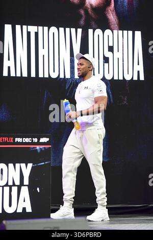 Anthony Joshua during a press conference at the Fillmore Miami Beach ...