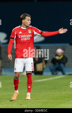 Amar Dedic of Benfica during the Portuguese Cup, Taca de Portugal ...