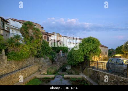 Walled street with palm trees , Palms, Roads Stock Photo - Alamy