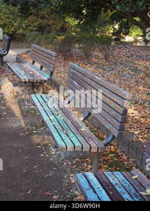 Wooden benches in the park, fallen autumn maple leaves on paving stones ...