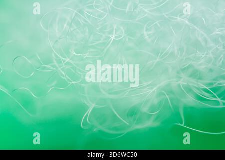 Extreme macro of polyester stable fiber on red background. Selective ...