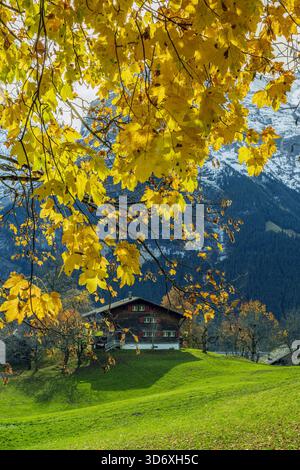Scenic autumn view of picturesque Swiss Alps in Switzerland Stock Photo ...