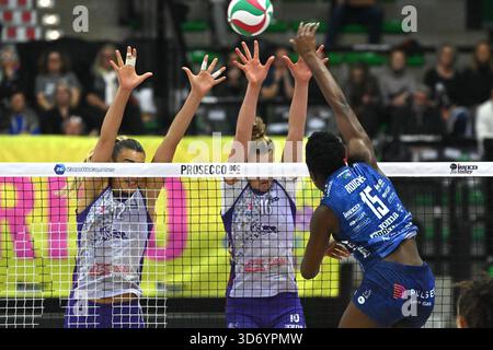 Merit Chinenyenwa Adigwe ( Prosecco DOC A.Carraro Imoco Volley Stock ...