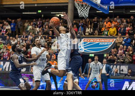 Eric Reed II (MLP Academics Heidelberg, #43), Ibi Watson (BMA365 ...