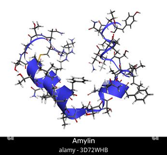 Pancreatic hormone molecule. Molecular model showing the secondary ...