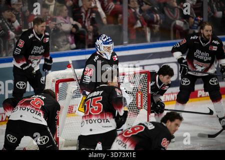 Janne Juvonen (Cologne Sharks, goalkeeper, #30); PENNY DEL 1; Cologne ...