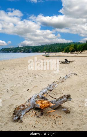 Driftwood on the beach, Lake Superior, Pictured Rocks National ...