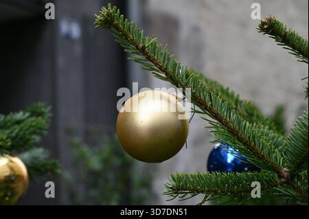 Tannenbaum Ast mit Weihnachtskugel Weihnachtsschuck, Christbaumkugel ...
