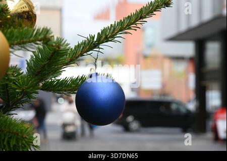 Tannenbaum Ast mit Weihnachtskugel Weihnachtsschuck, Christbaumkugel ...