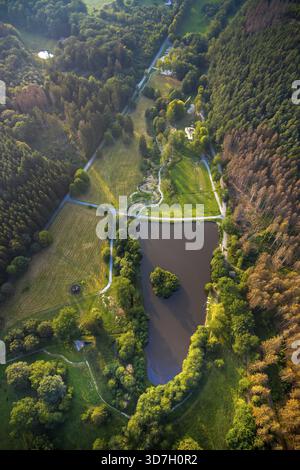 Aerial view, beaver stream, beaver valley, restored Biberbach, forest ...