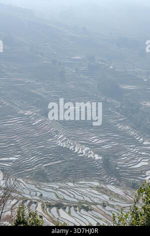 Yuan Yang Rice Terraces - Bada under the sunset in Yunnan province of ...