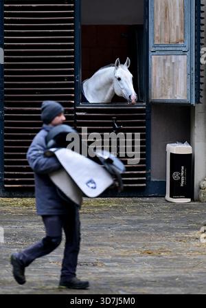 THEME PICTURE - A Lipizzaner horse in the stables of the Spanish Riding ...