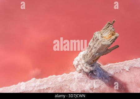 pink salt lake. wooden sticks stick out of the water Stock Photo - Alamy