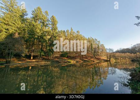 Soudley Ponds in Forest of Dean, Gloucestershire England UK. River ...
