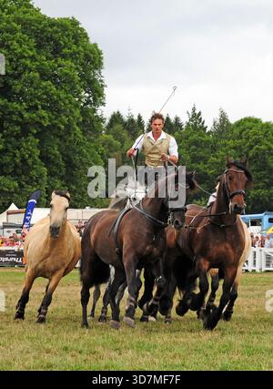 Ben Atkinson and his horses at The New Forest Show Stock Photo - Alamy
