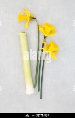 Traditional national patriotic symbols of Welsh culture on white, leeks ...