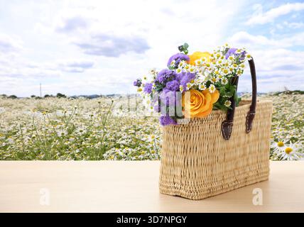Beautiful chamomile flowers in bag indoors, closeup Stock Photo - Alamy