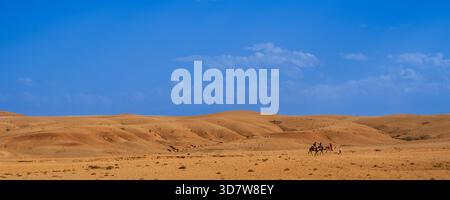 People of Marrakesh, Morocco and Agafay desert Stock Photo - Alamy