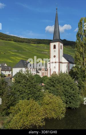 Winery in Pfalz Germany Europe Stock Photo - Alamy