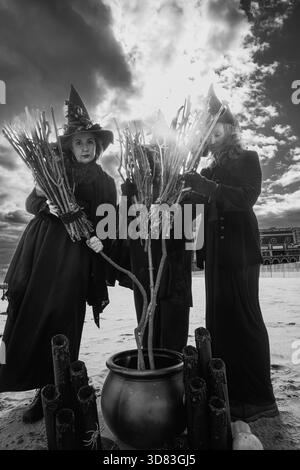 Witches Coven Gathering by the Sea Stock Photo - Alamy