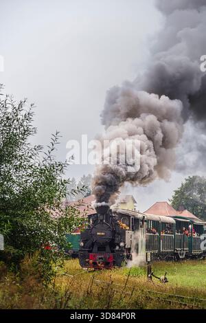 Romania, Bukovina region, Moldovita, Mocanita Hutulca, old narrow gauge ...