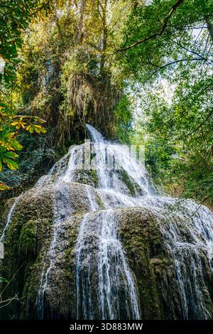 A flowing waterfall surrounded by dense trees Stock Photo - Alamy