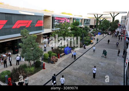 Lusail, Qatar. 29th Nov, 2025. VERSTAPPEN Max (ned), Red Bull Racing ...