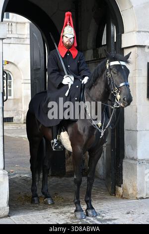 The Blues and Royals (Royal Horse Guards and 1st Dragoons) (RHG/D ...