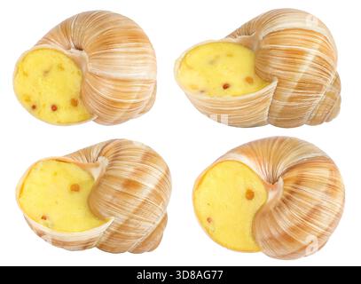 Dijon escargot snail filled with butter, garlic, Dijon mustard and ...