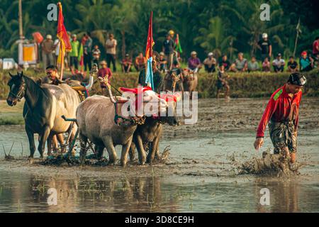 MAKEPUNG LAMPIT 2025 Stock Photo - Alamy
