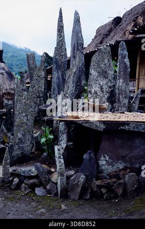 Indonesia, Flores, Bena. 2002, Traditional village in the Ngada Regency ...