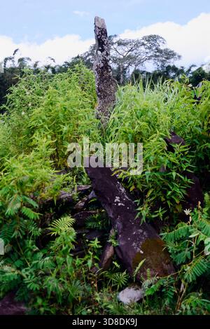 Indonesia, Flores, Ngada Regency. 2002, Megaliths in the vicinity of ...