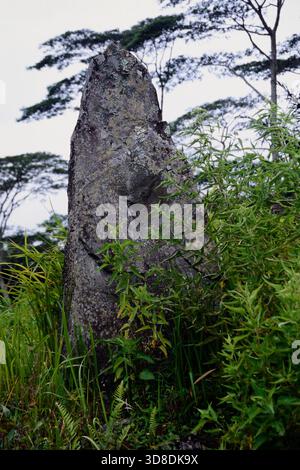 Indonesia, Flores, Ngada Regency. 2002, Megaliths in the vicinity of ...