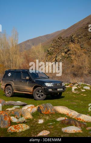spring meadow # 24 Stock Photo - Alamy