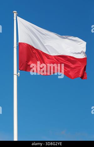 Polish flag colors, red and white, Superlambanana outside the Museum of ...