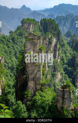 Lush forest and stone karst at the Avatar Mountains Zhangjiajie ...