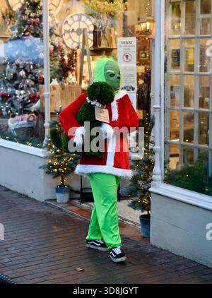 Christmas shopping in festive Grinch costume Stock Photo - Alamy