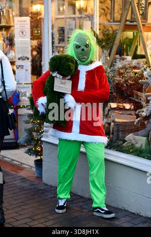 Christmas shopping in festive Grinch costume Stock Photo - Alamy