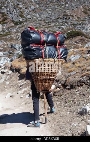 Nepalian Porter carrying heavy load on his back to Everest Base camp ...