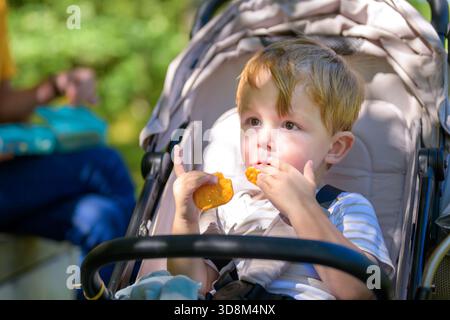 Cute baby boy eating biscuit Stock Photo - Alamy