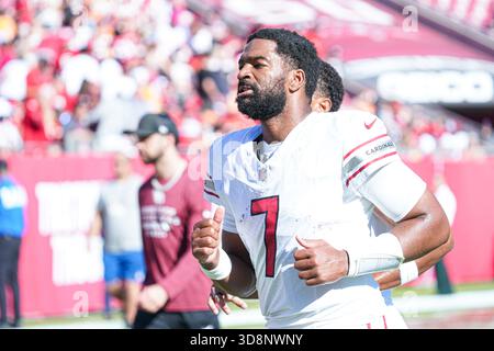 Arizona Cardinals quarterback Jacoby Brissett (7) against the San ...