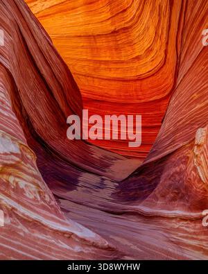 The Wave is a stunning geological formation in the Paria Canyon ...
