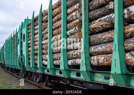 Close-up of timber cars. Railroad cars loaded with timber on tracks ...