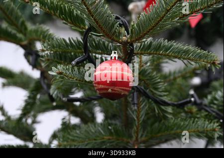 Tannenbaum Ast mit Weihnachtskugel Weihnachtsschuck, Christbaumkugel ...